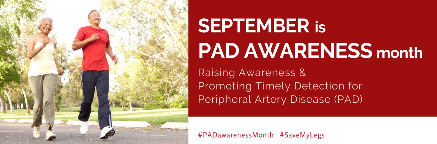 Peripheral Artery Vascular Disease Treatment Center | USA Vascular Centers