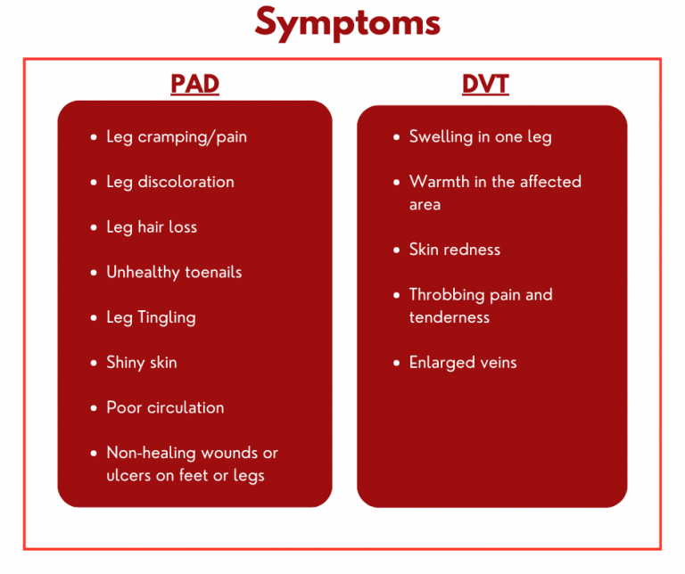 Differences Between DVT and PAD - PAD Treatment Centers | USA Vascular ...